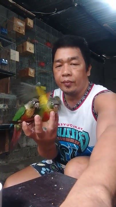 Training Time🦜 Youtube