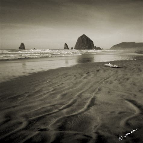 Canon Beach Shutterbug