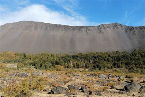 Avances En El Desarrollo Plan De Acción Regional De Cambio Climático