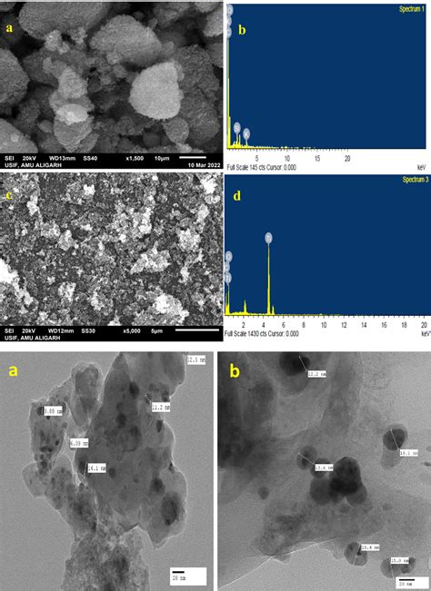 Figure 1 From Combined Application Of Sio2 And Tio2 Nanoparticles Enhances Growth Characters