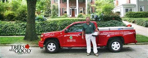 Tree Risk Assessment In Charlotte NC AAA Tree Experts Inc
