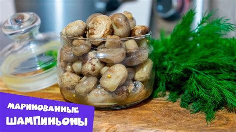 Маринованные грибы шампиньоны быстрый и простой рецепт Youtube