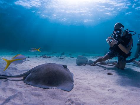 ダイビングにおすすめの水中カメラ8選！選び方や価格を徹底比較 パラオタイムス（palau Times）