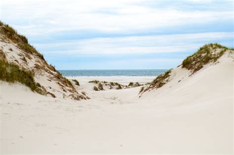 모래 언덕을 통과하는 고요한 길은 이른 아침 햇살이 내리쬐는 흐린 하늘 아래 고요한 해변으로 이어집니다 0명에 대한 스톡 사진 및 기타 이미지 Istock