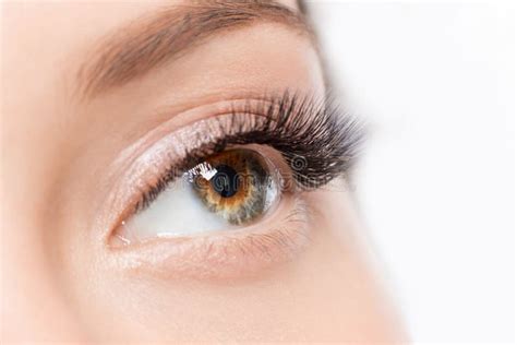 Eyelash Extension Procedure Beautiful Female Eyes With Long Lashes