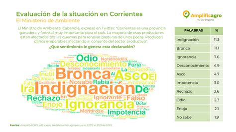 Indignación Y Bronca El Sentimiento Del Campo Por Los Dichos De