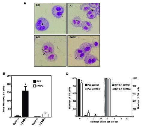 Genotoxic Effect Of 64 Cucl2 In Human Prostate Cell Lines Cells
