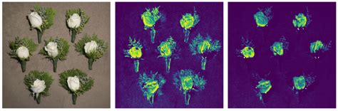 Rg Chromaticity Towards Data Science