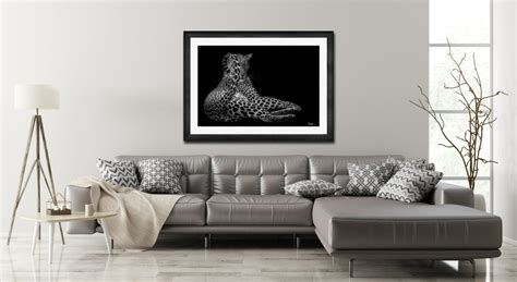 Sass African Wildlife Photography Prints Derek Nielsen Photography