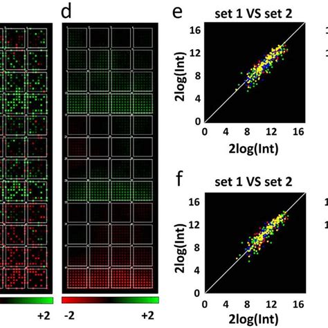 Performance Of Different Normalization Techniques Across A Range Of Download Scientific Diagram