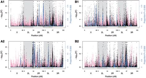 Empirical P Values From The Snp Level Analysis Black Points Are The