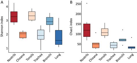 Comparison Of α Diversity Indexes Between Sampling Sites Box Plot Of