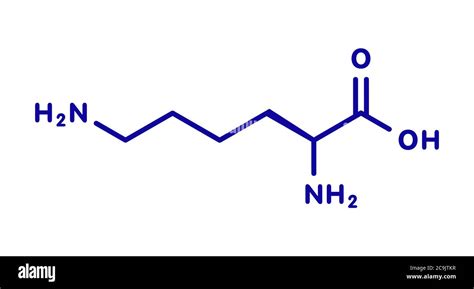 Lysine L Lysine Lys K Amino Acid Molecule Blue Skeletal Formula On