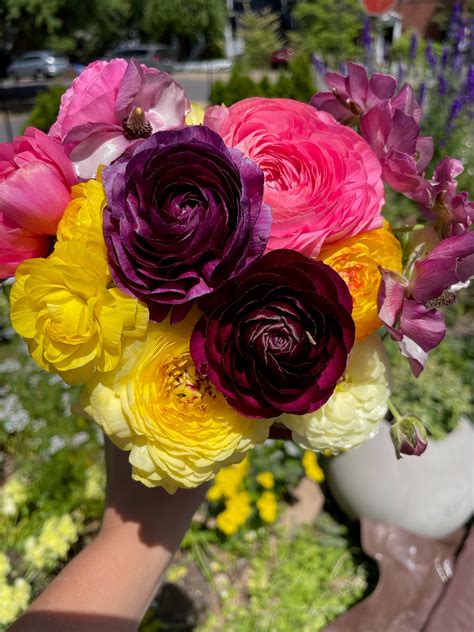 Shop Ranunculus Collection The Happy Hour Flowers