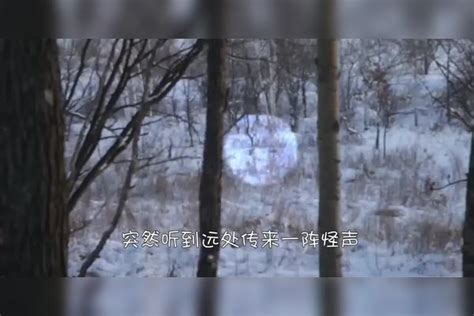 雪地传出阵阵异响，男子上前查看，却被吓得够呛！雪地男子