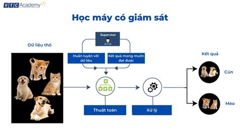 Machine Learning Là Gì Các ứng Dụng Thực Tiễn Của Học Máy