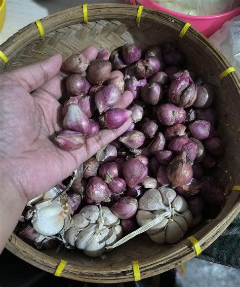 Harga Bawang Merah Di Sumenep Meroket Capai Rp50 Ribu Per Kg