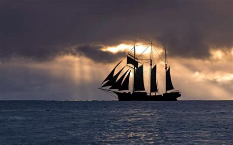 Managing Tariff Response And Exposure Mckinsey Talks Operations