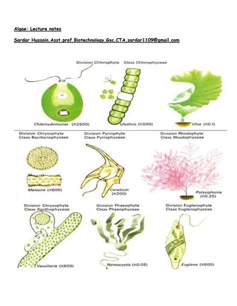 Biological Classification Shobhit Nirwan Pdf