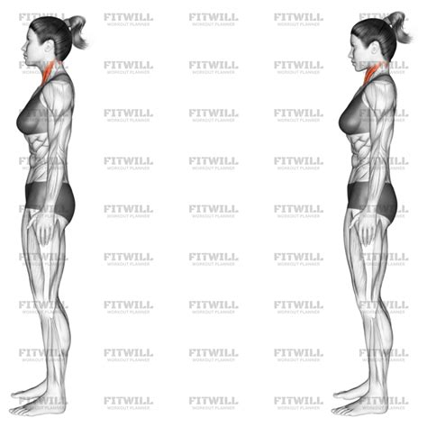 Chin Tuck Exercise Guide Techniques Benefits How To Muscles Worked