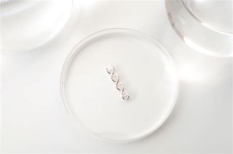 Dna Testing Lab Experiment And Genetic Research Concept Theme With A Double Helix Molecule In A