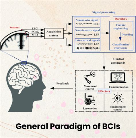 Unlocking The Future Exploring Brain Computer Interface Applications