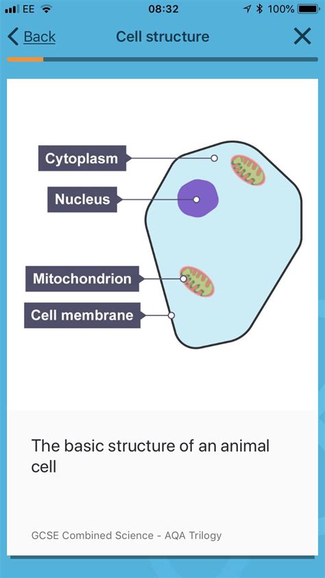 Cell Structure Notes Flashcards Memorang