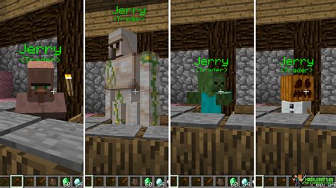 Custom Npc S Minecraft