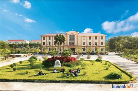 Học đại học từ xa ngành ngôn ngữ Trung Quốc 2024 Giáo dục 24h