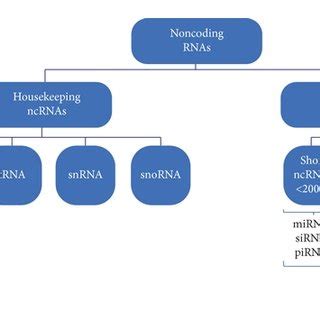 Classification Of Long Noncoding RNAs LncRNAs Shown As Red Boxes May