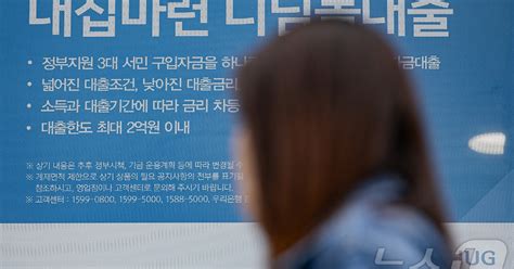 디딤돌대출 규제 저소득층 제외국토부 상환능력 고려해 결정 일문일답