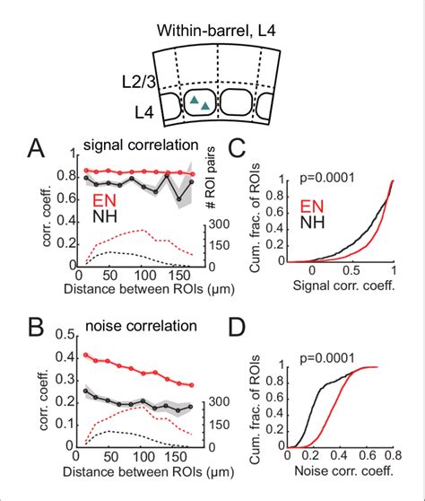Enrichment Increases Signal And Noise Correlations Within L4 Barrels
