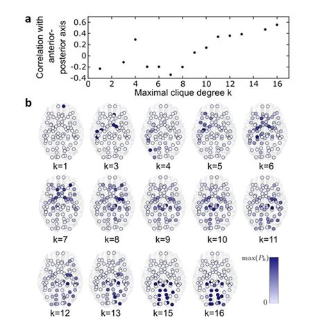 Maximal Clique Correlation With Anterior Posterior Gradient A