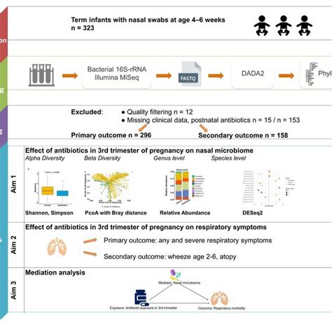 Simplified Graphical Overview Of The Workflow Of The Data Collection