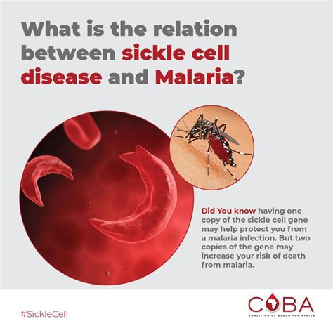 Sickle Cell Traits And Sickle Cell Disease Are Closely Linked To