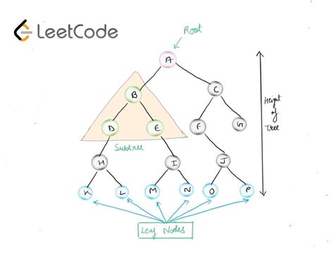 Riti Nema On Linkedin Dsa Leetcode Softwareengineer Placements
