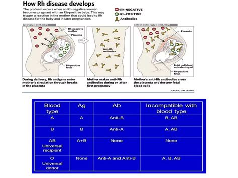 Antigen Antibody Reaction Ppt