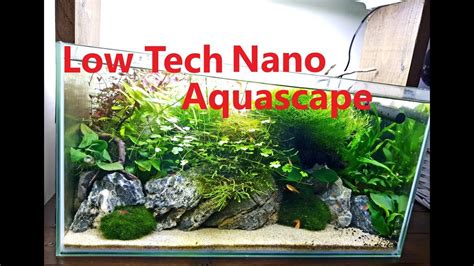 Low Tech Nano Aquascape YouTube