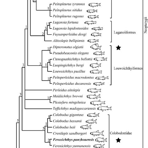 Strict Consensus Of Most Parsimonious Trees Strict Consensus Of 360