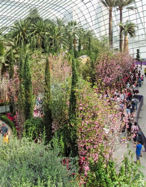 Gardens By The Bay And Supertrees In Singapore What You Must See