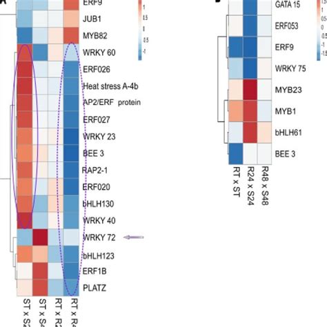 Differential Expression Profile Of Transcription Factors TFs During