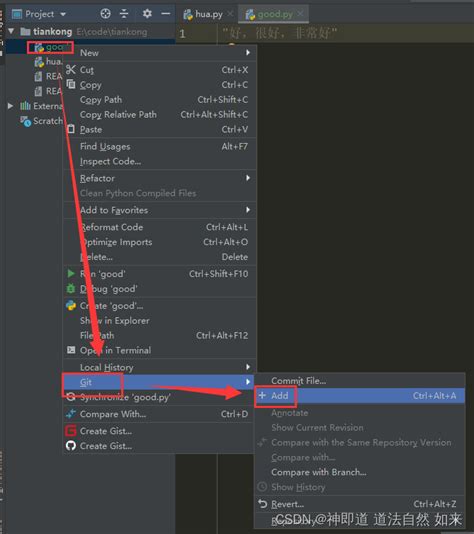 Python 如何从gitee本地推送和拉取？python拉取git代码 Csdn博客