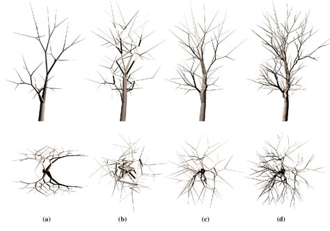 Figure 4 From Modeling And Generating Moving Trees From Video Semantic Scholar