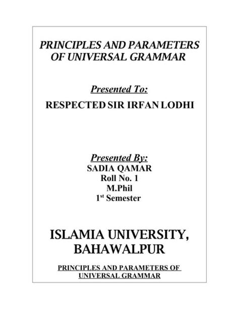 Principles And Parameters Of Universal Grammar Doc