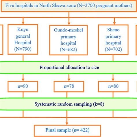 Schematic Presentation Of Sampling Procedure Download Scientific Diagram