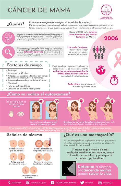 Vive FISSEP Cáncer de mama