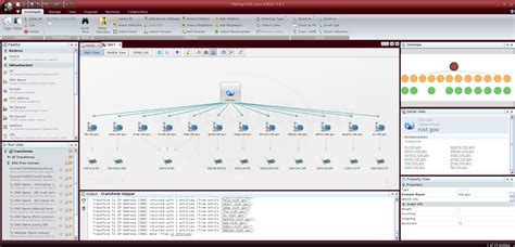 Open Source Intelligence With Maltego