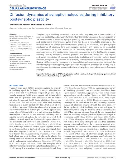Pdf Diffusion Dynamics Of Synaptic Molecules During Inhibitory Postsynaptic Plasticity