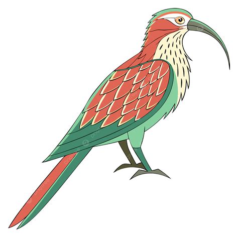 Red Tailed Hawk Illustration Png Vector Psd And Clipart With