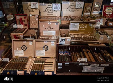 Different Types Of Tobacco Such As Virginia Burley And Oriental Each Offer Distinct Flavors